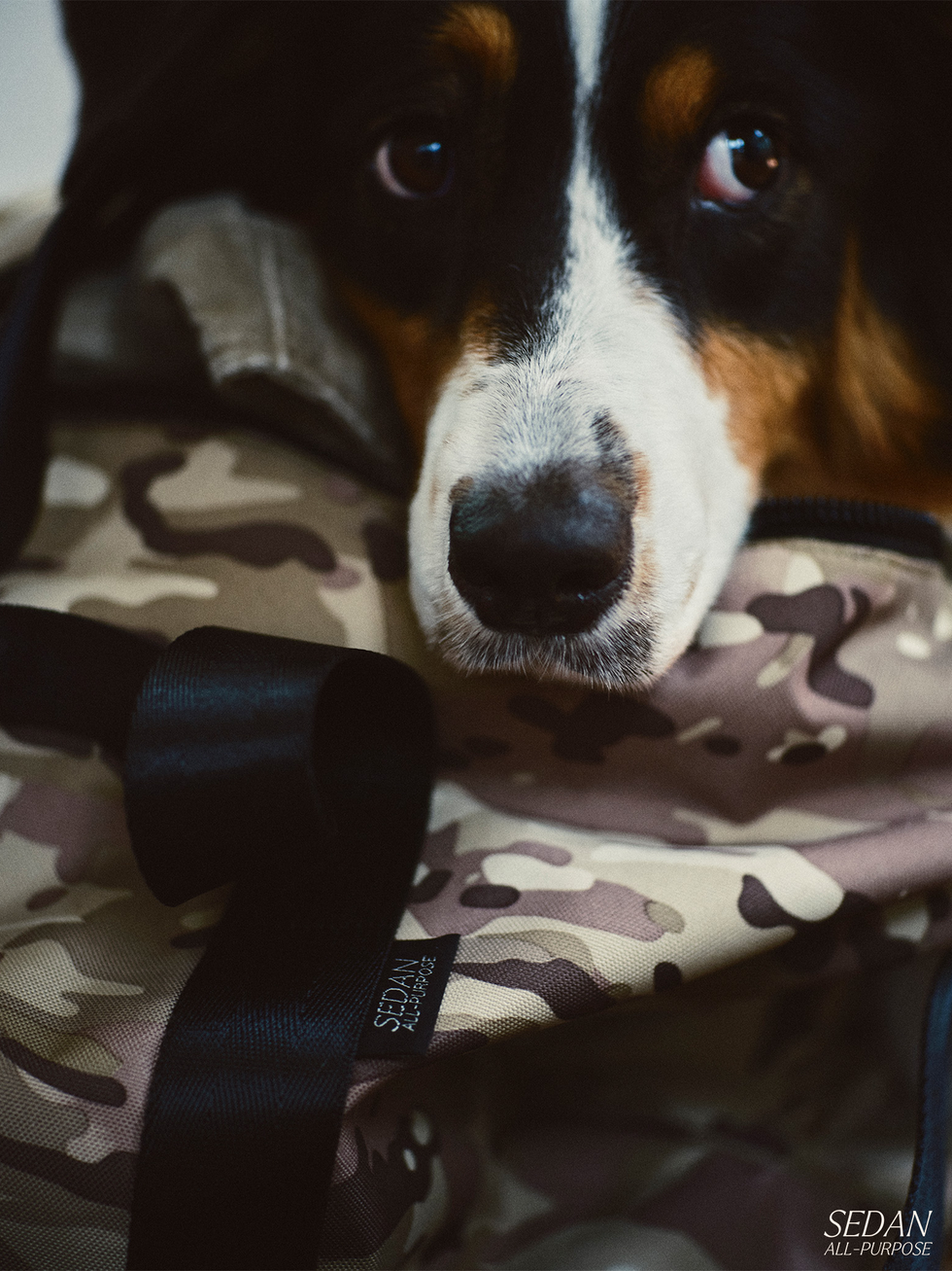 SS26 1ST DELIVERY PREVIEW – SEDAN ALL-PURPOSE ONLINE STORE